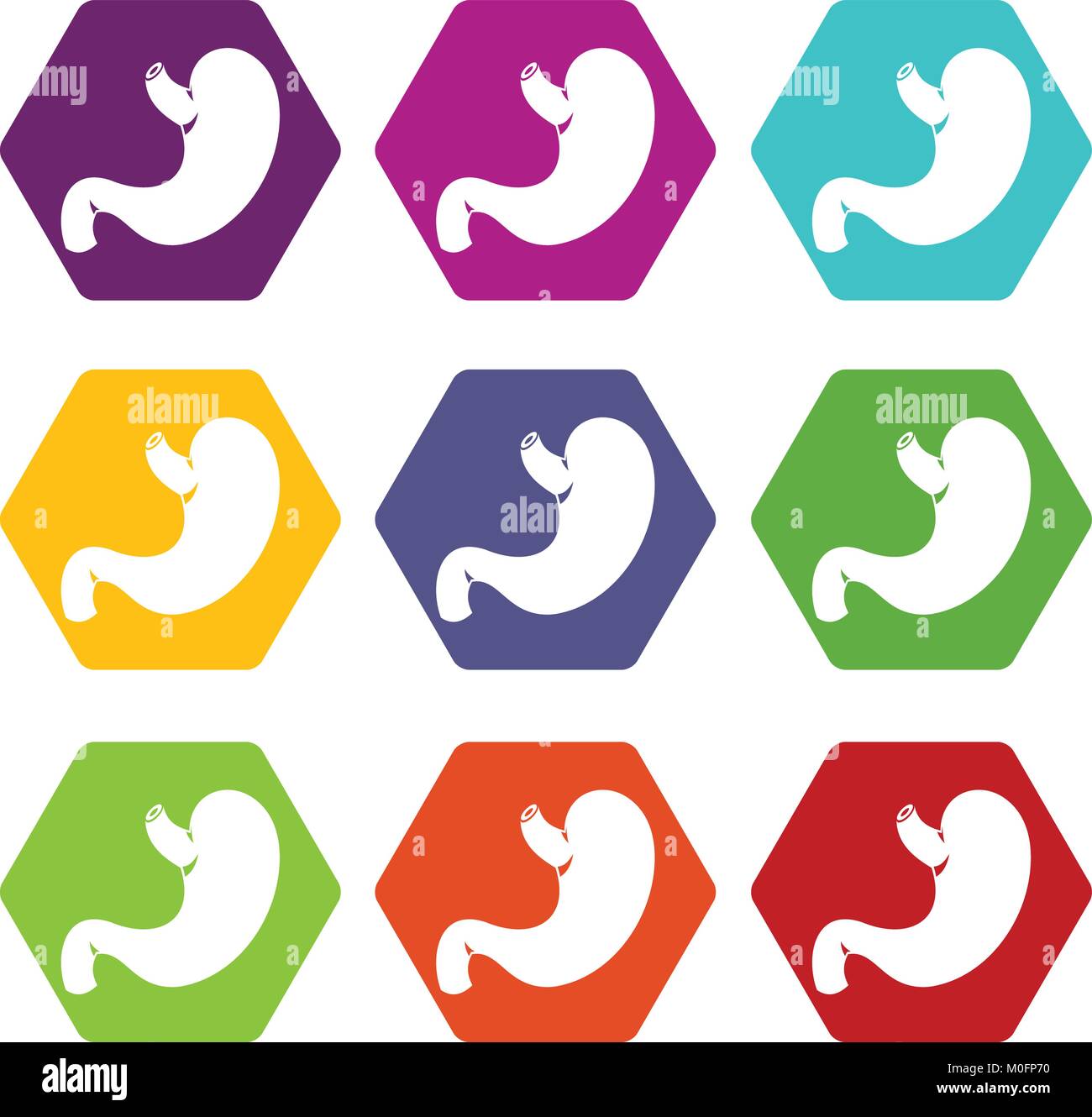 Stomach icon set color hexahedron Stock Vector Image & Art - Alamy