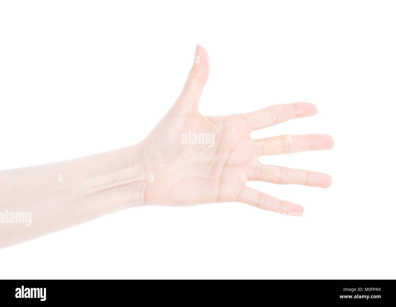 Beautiful female hand isolated on white background Stock Photo - Alamy