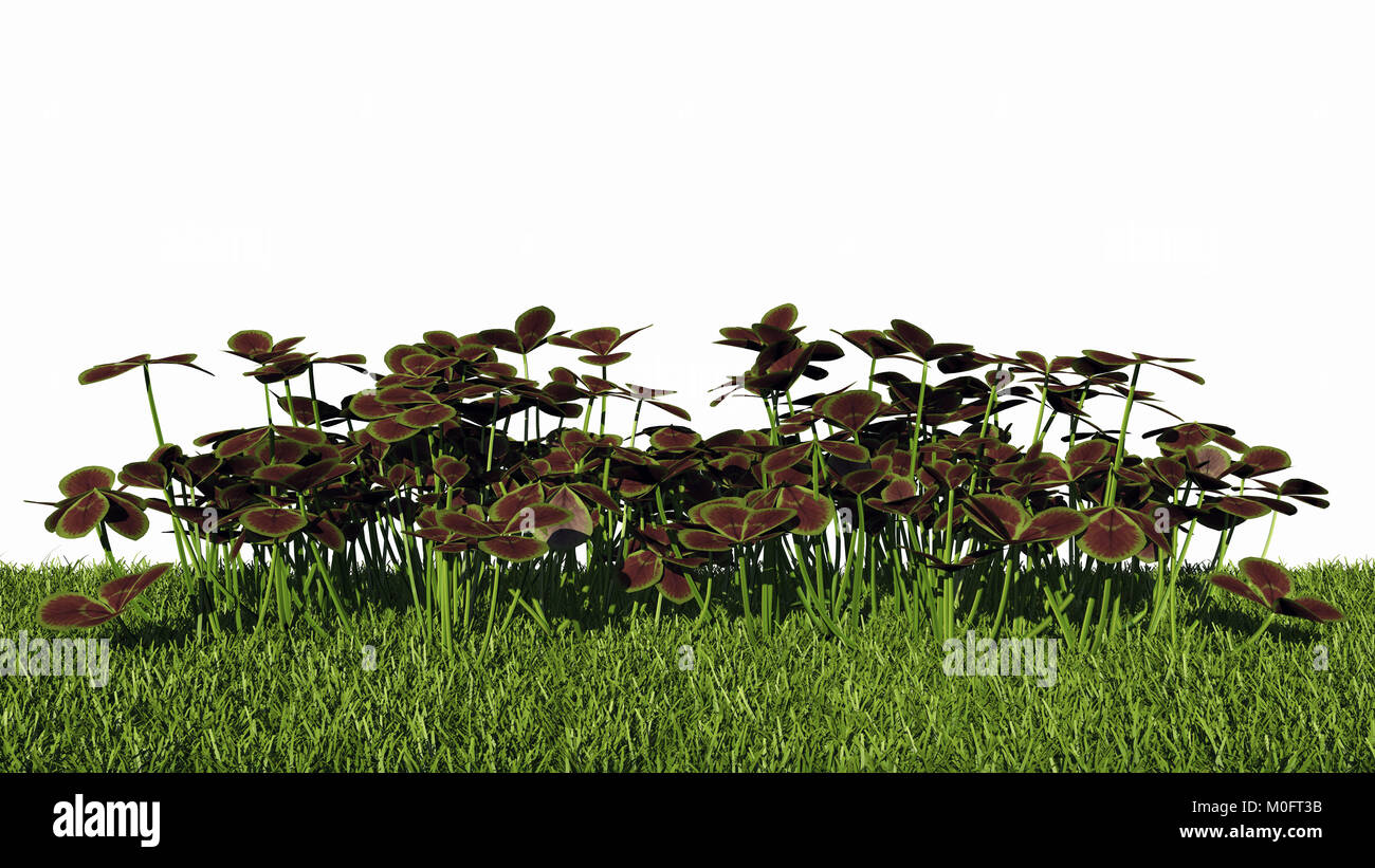 3d rendering of a horizontal seamless bushes on a white background with ...