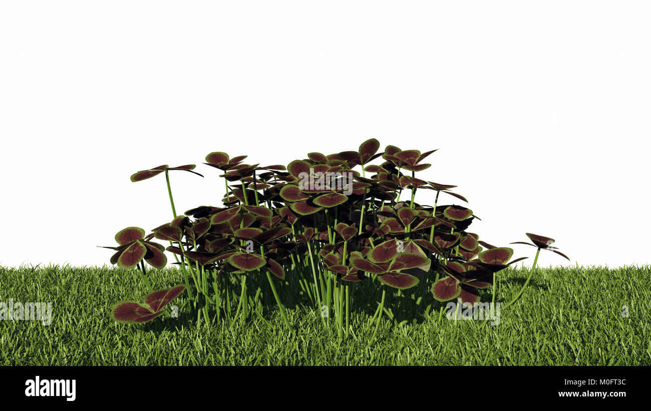 3d rendering of a horizontal seamless bushes on a white background with ...