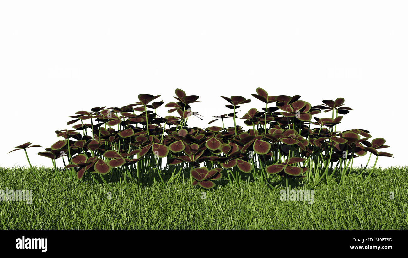 3d rendering of a horizontal seamless bushes on a white background with ...