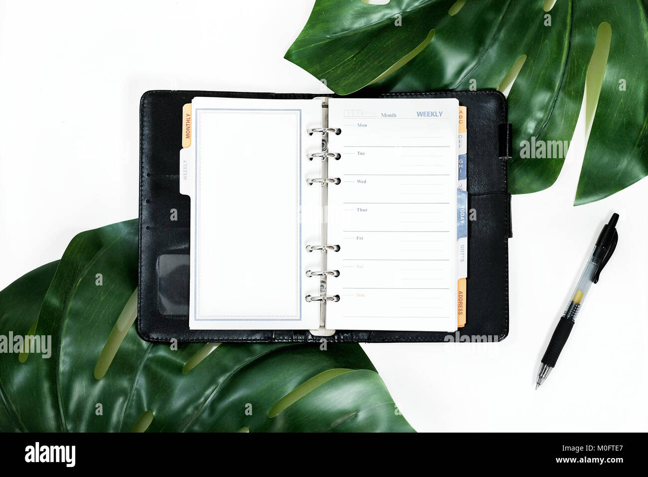 Conceptual,diary on a white table. open diary,monstera leaf and pen ...