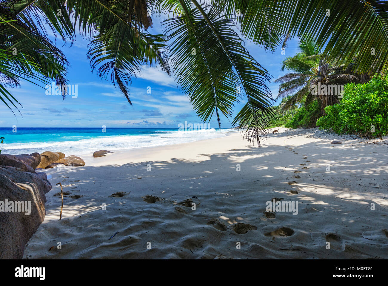 beautiful paradise beach with palm trees, granite rocks, white sand and ...