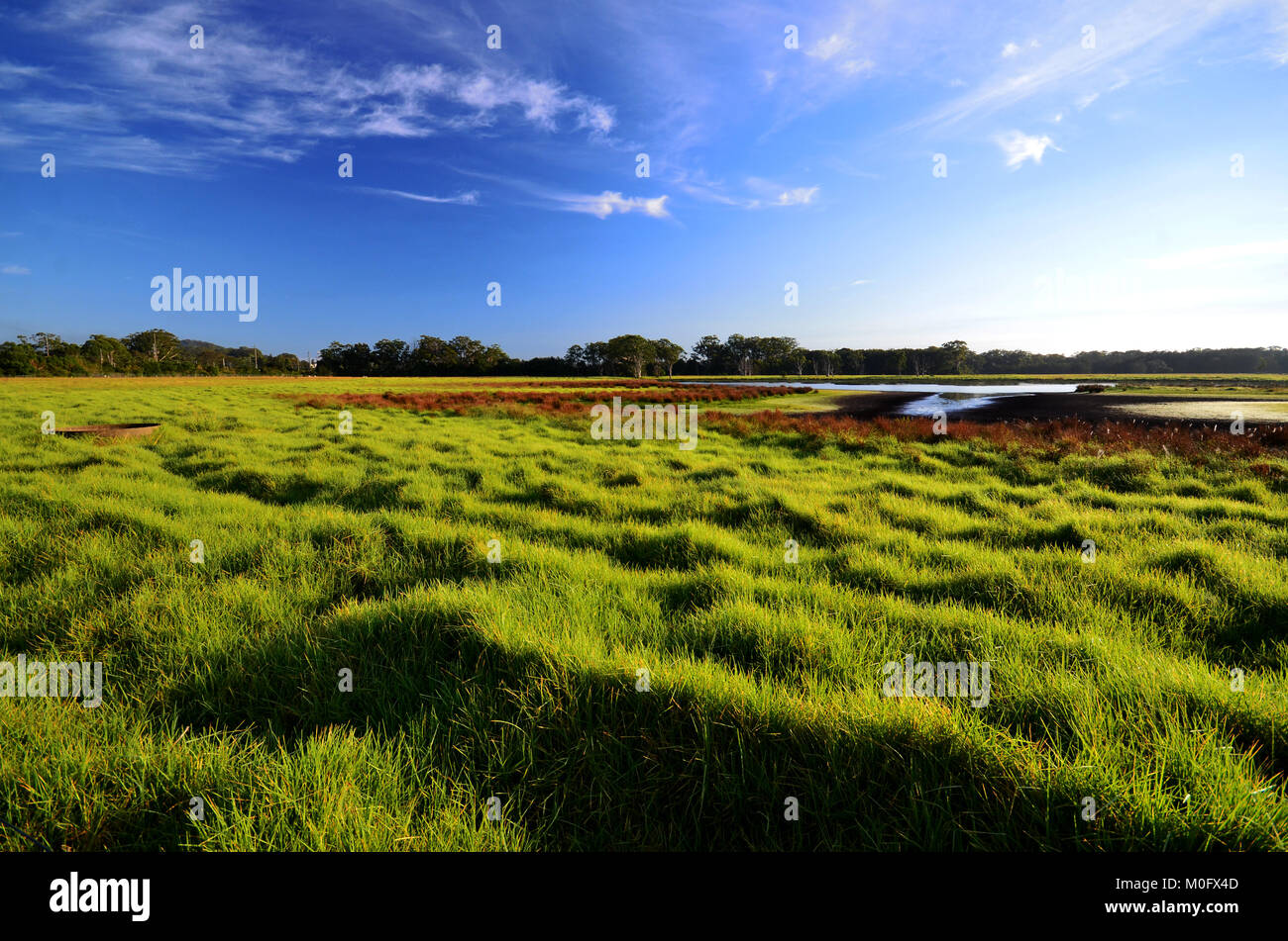 Marshes conservation area hi-res stock photography and images - Alamy