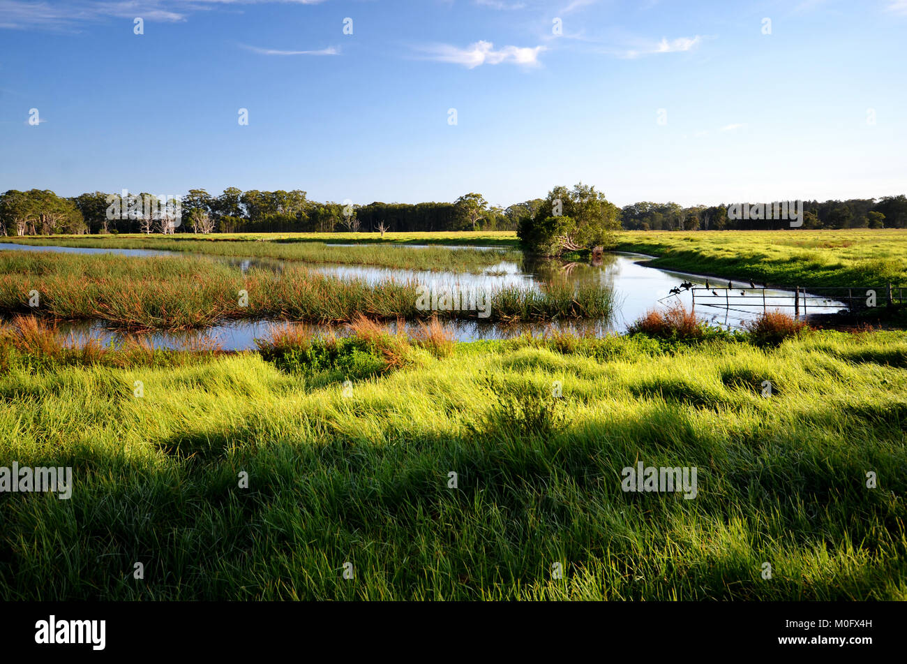 Marsh lands hi-res stock photography and images - Alamy