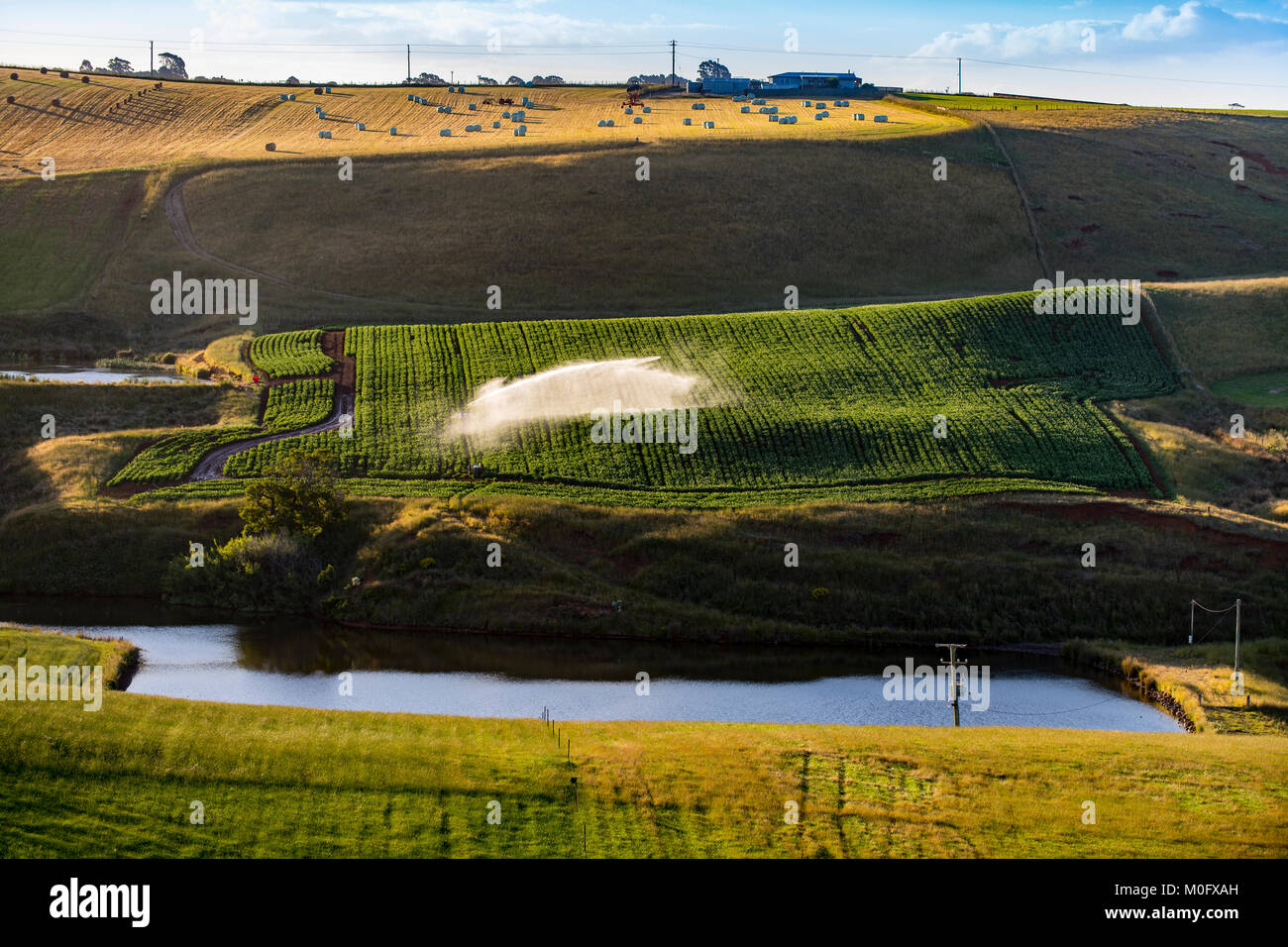 Tasmanian agriculture hi-res stock photography and images - Alamy
