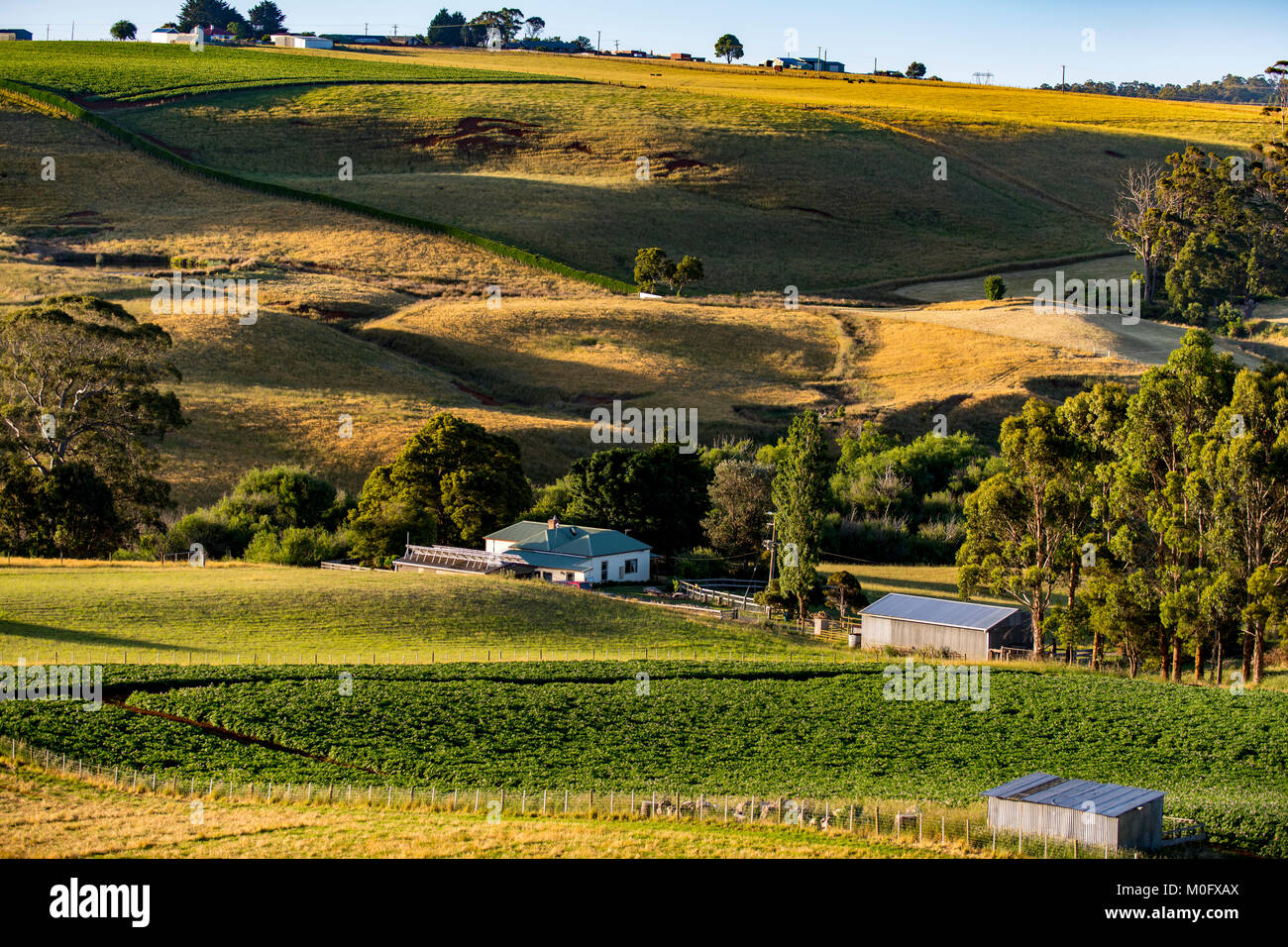 Farming in Tasmania, Australia Stock Photo - Alamy