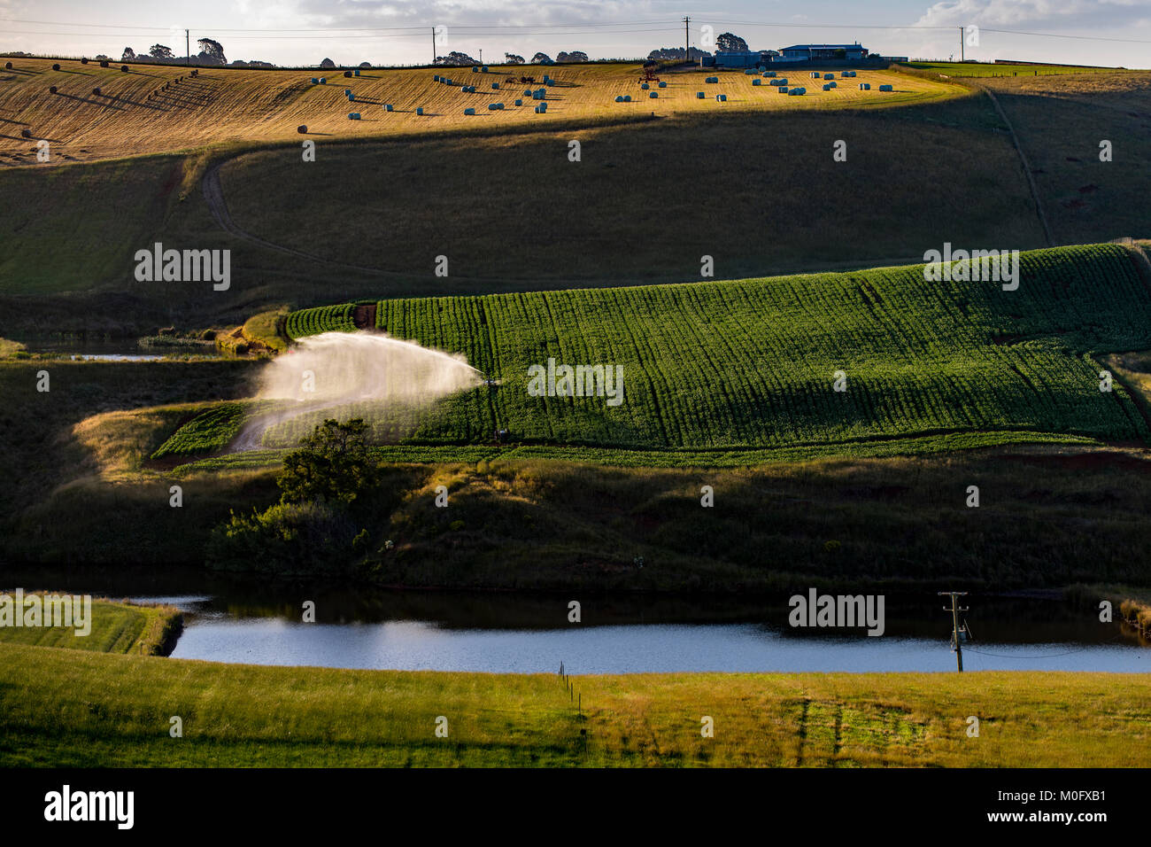 Farming in Tasmania, Australia Stock Photo - Alamy