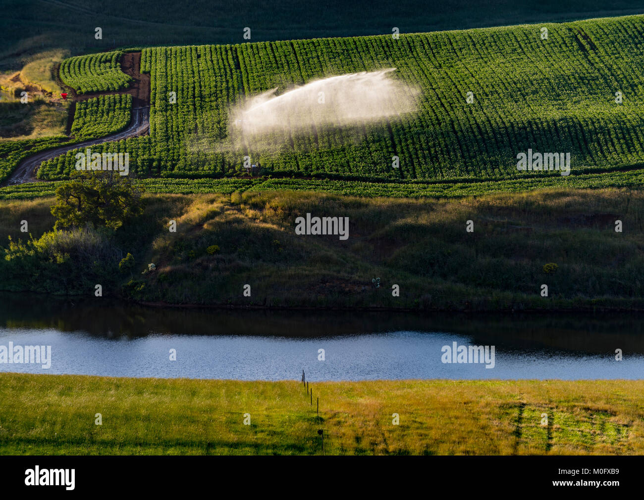 Farming in Tasmania, Australia Stock Photo - Alamy