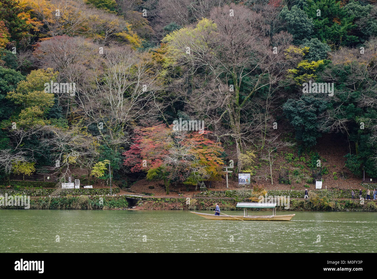 Kyoto, Japan - Nov 28, 2016. A man rowing wooden boat on Hozu River at ...