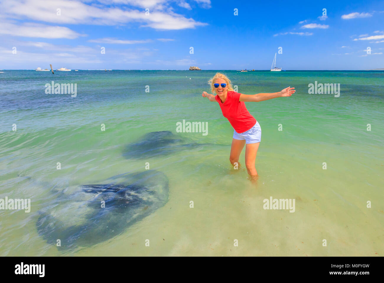 Eagle sting ray hi-res stock photography and images - Alamy
