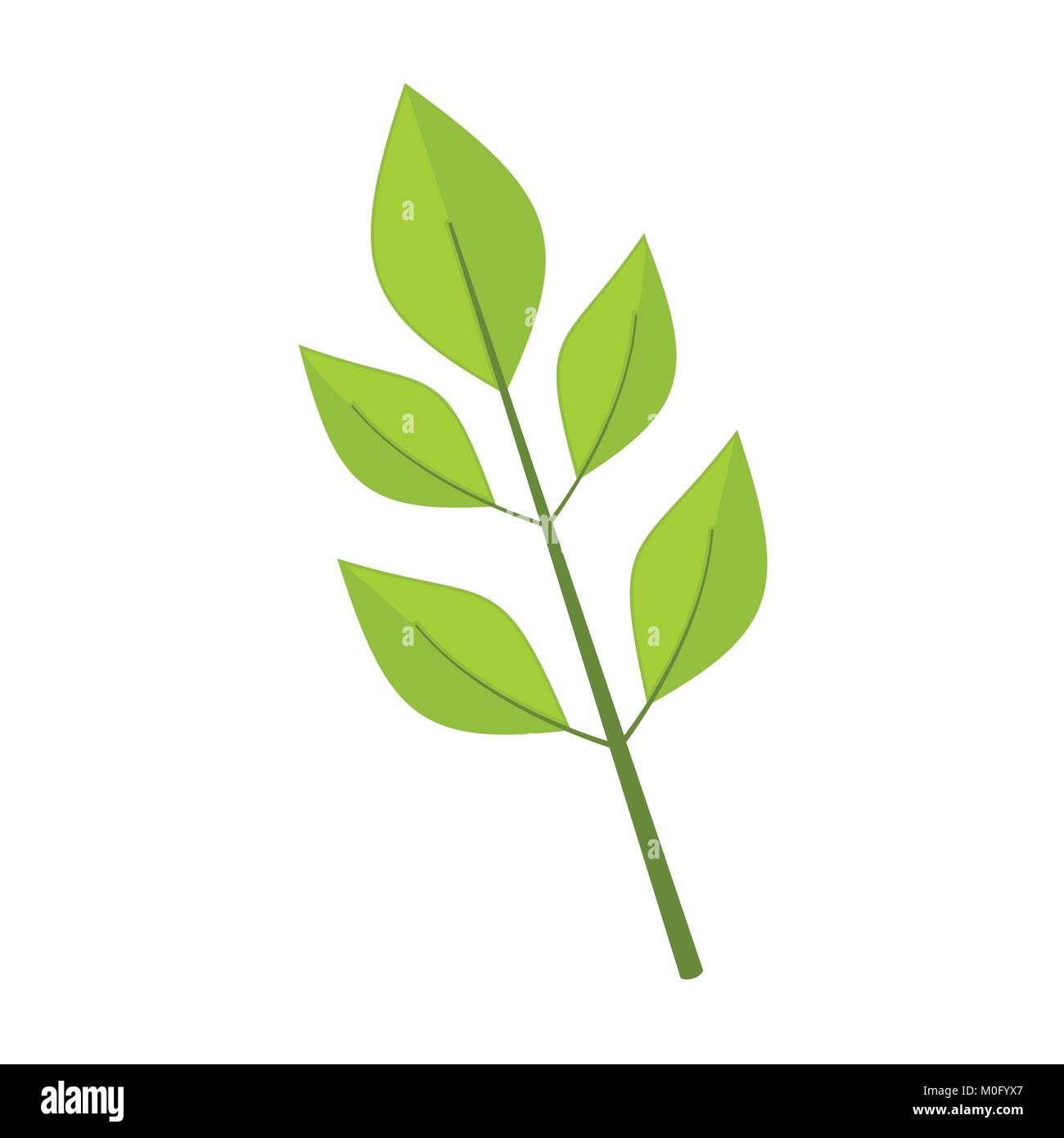 Ash Tree Leaves Vector Illustration Graphic Design Stock Vector Image ...