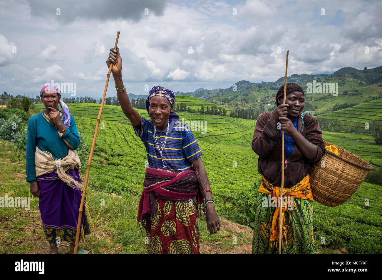 African farm workers hi-res stock photography and images - Alamy