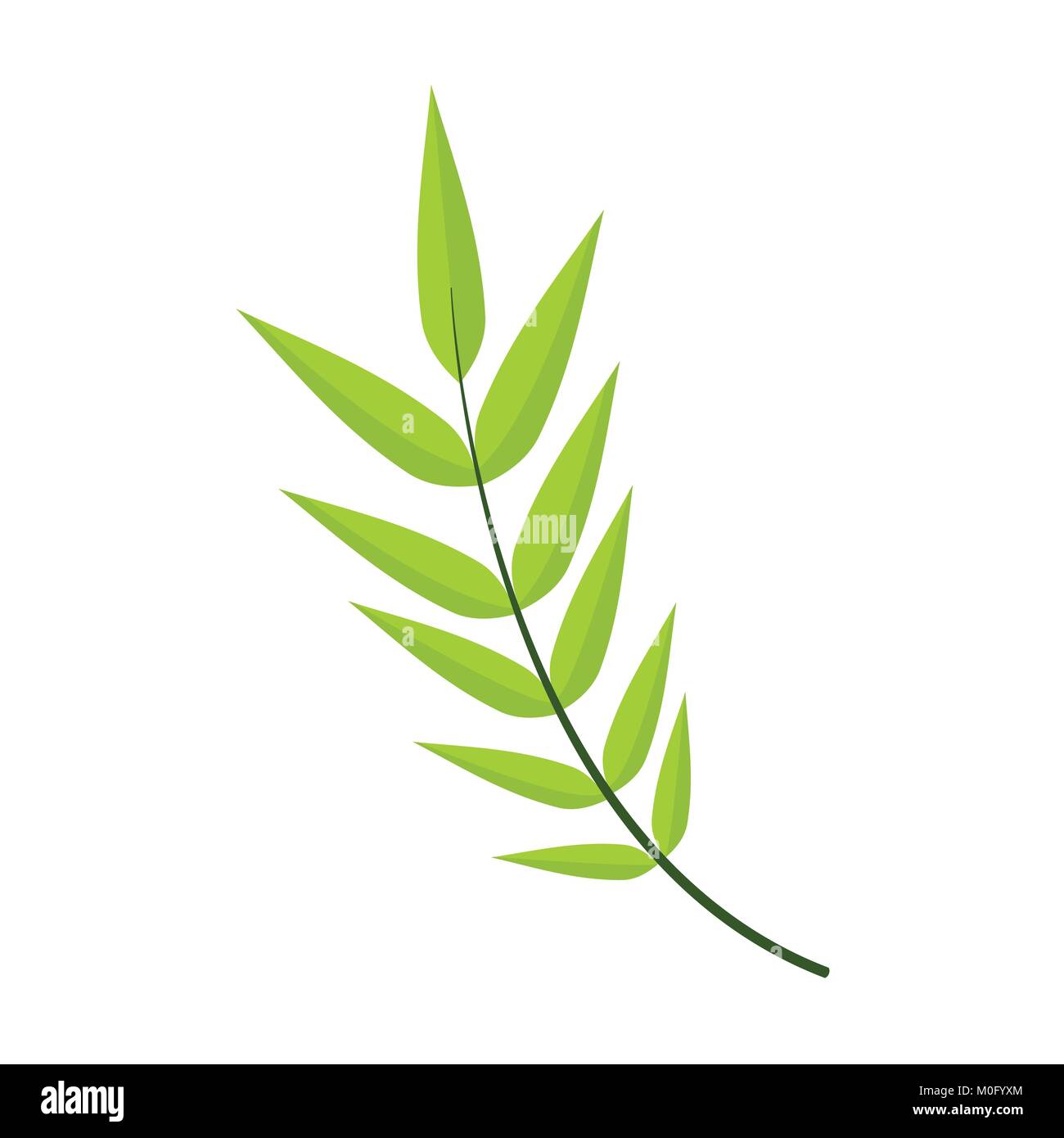 Honey Locust Leaves Vector Illustration Graphic Design Stock Vector ...