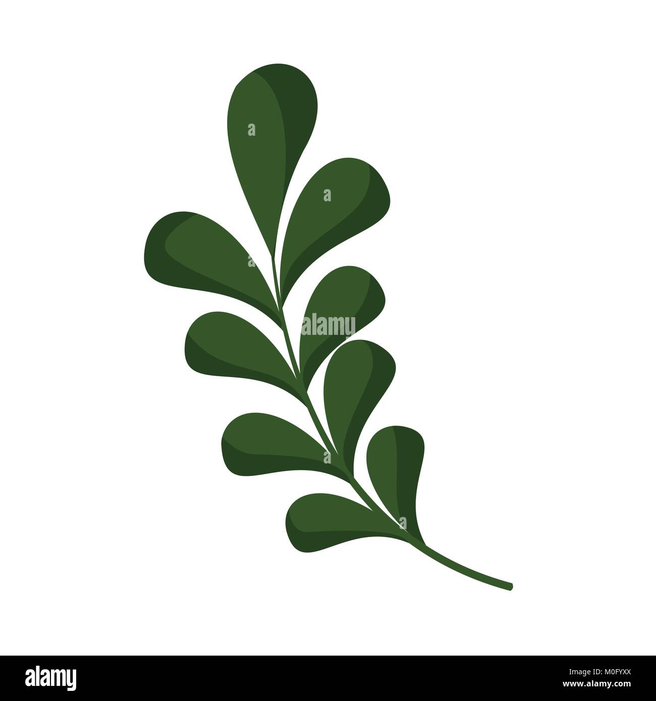 Floral Leaves Ornament Vector Illustration Graphic Design Stock Vector ...