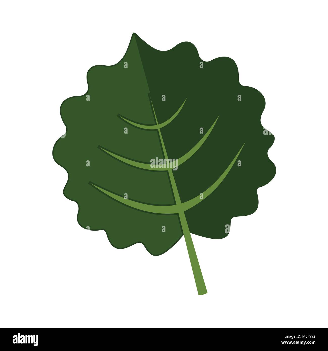 Orbicular vector vectors hi-res stock photography and images - Alamy