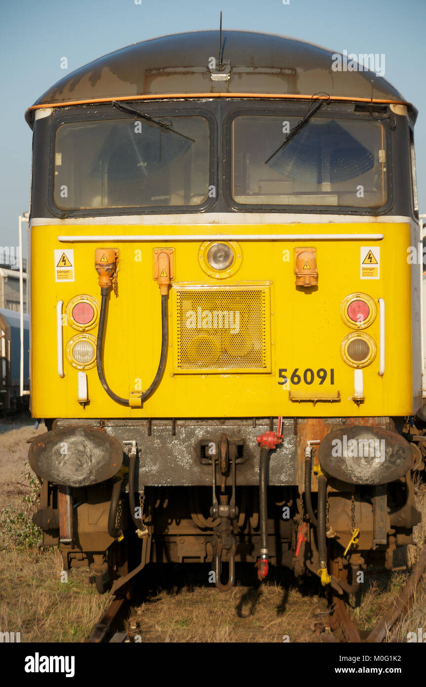 Class 56 Diesel locomotive at Eastleigh Railway Depot Stock Photo - Alamy
