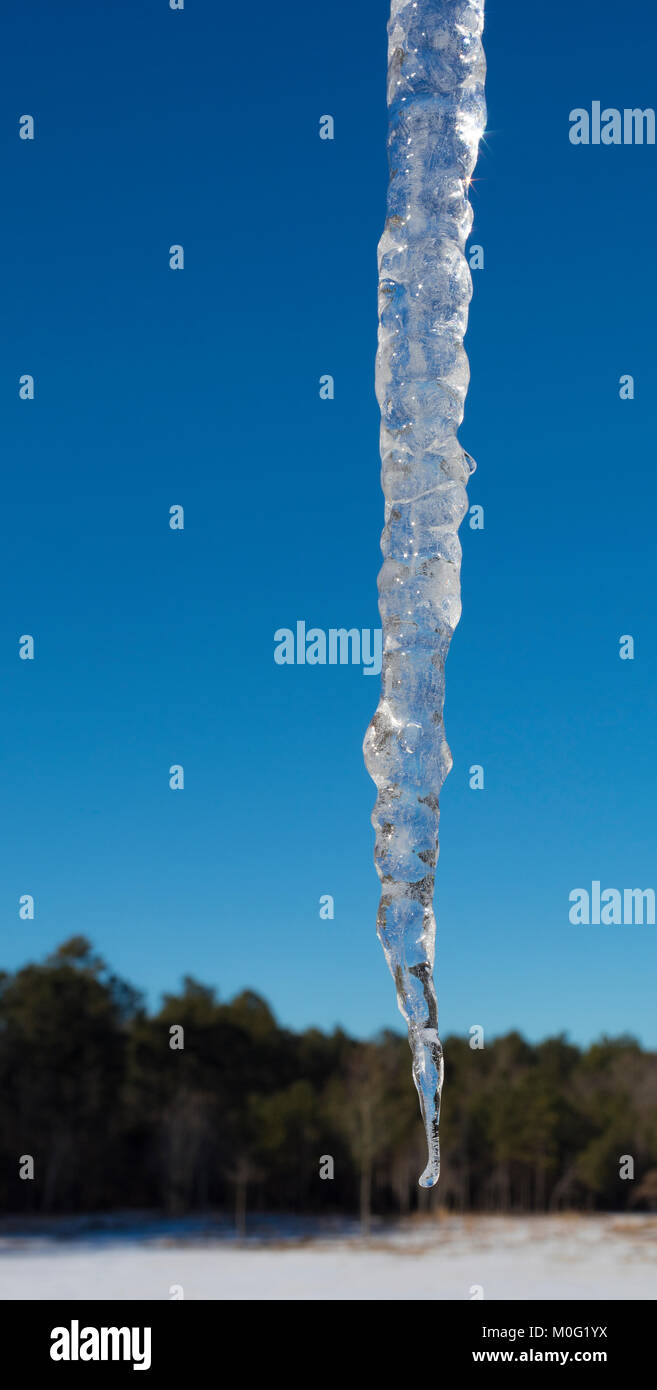 Ice formed after the snow bomb cyclone hit North Carolna Stock Photo ...