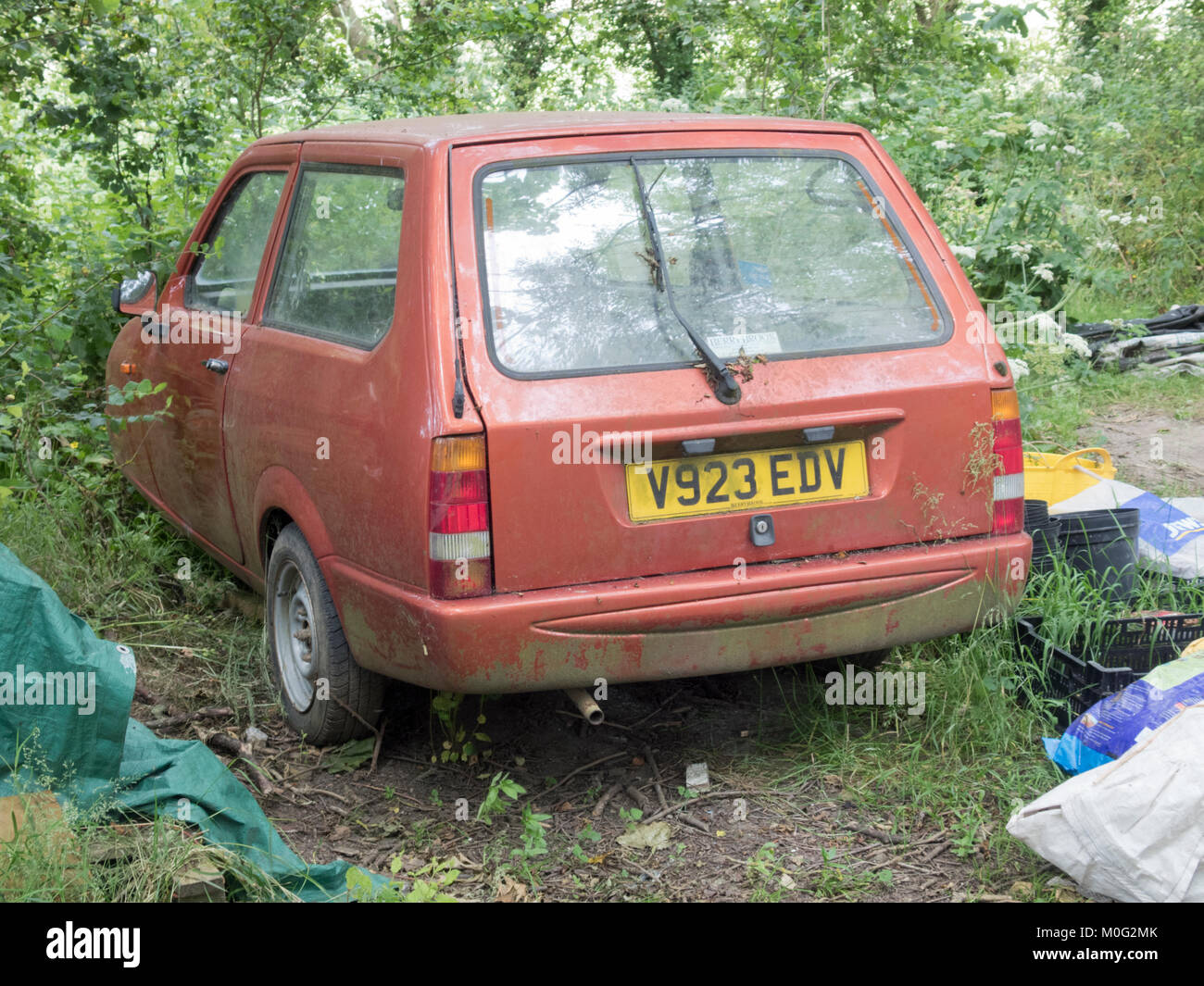 Red reliant robin hi-res stock photography and images - Alamy
