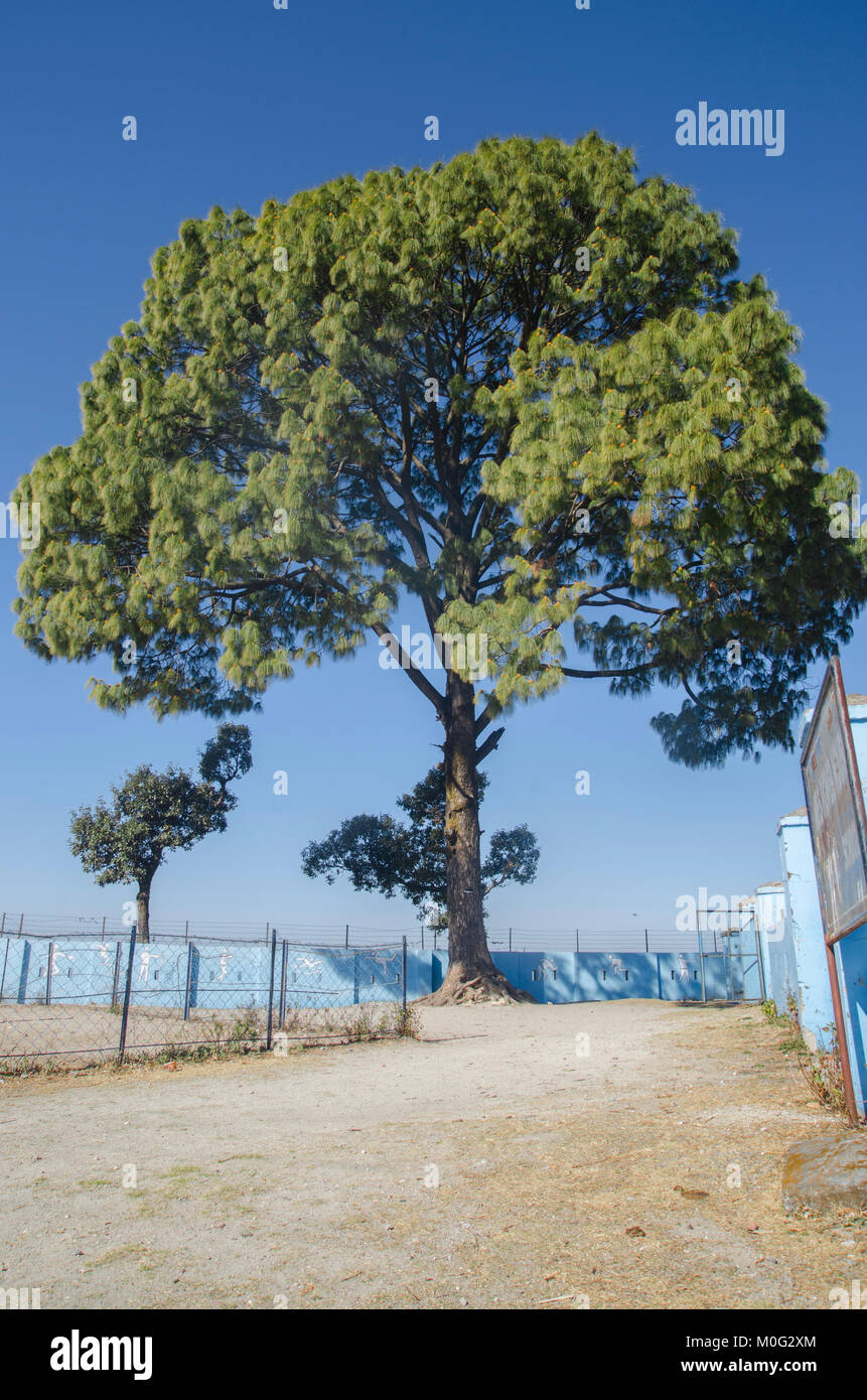 Uttarakhand lansdowne mountains hi-res stock photography and images - Alamy