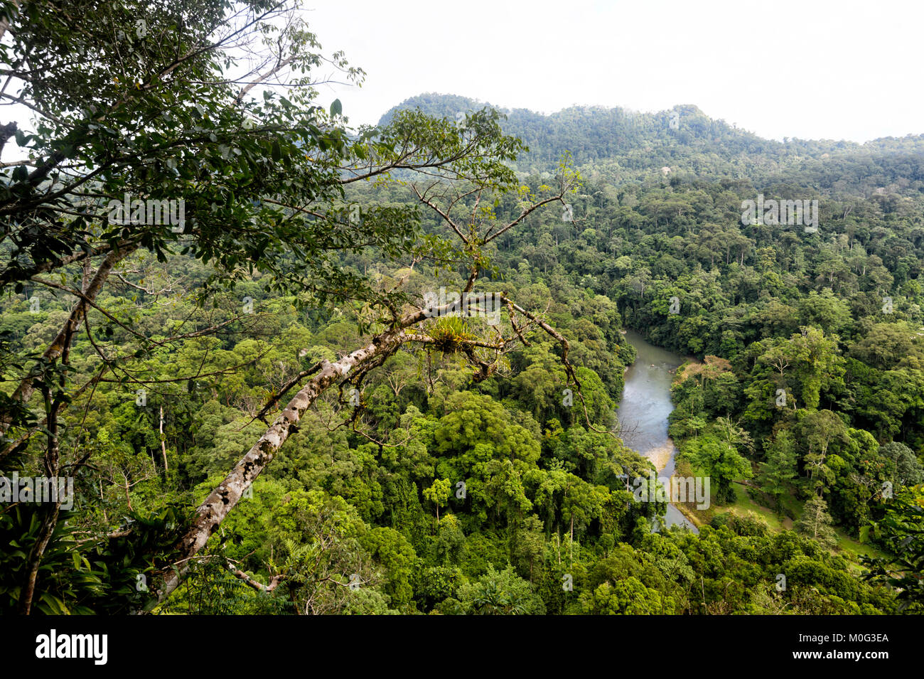 Borneo aerial view hi-res stock photography and images - Alamy