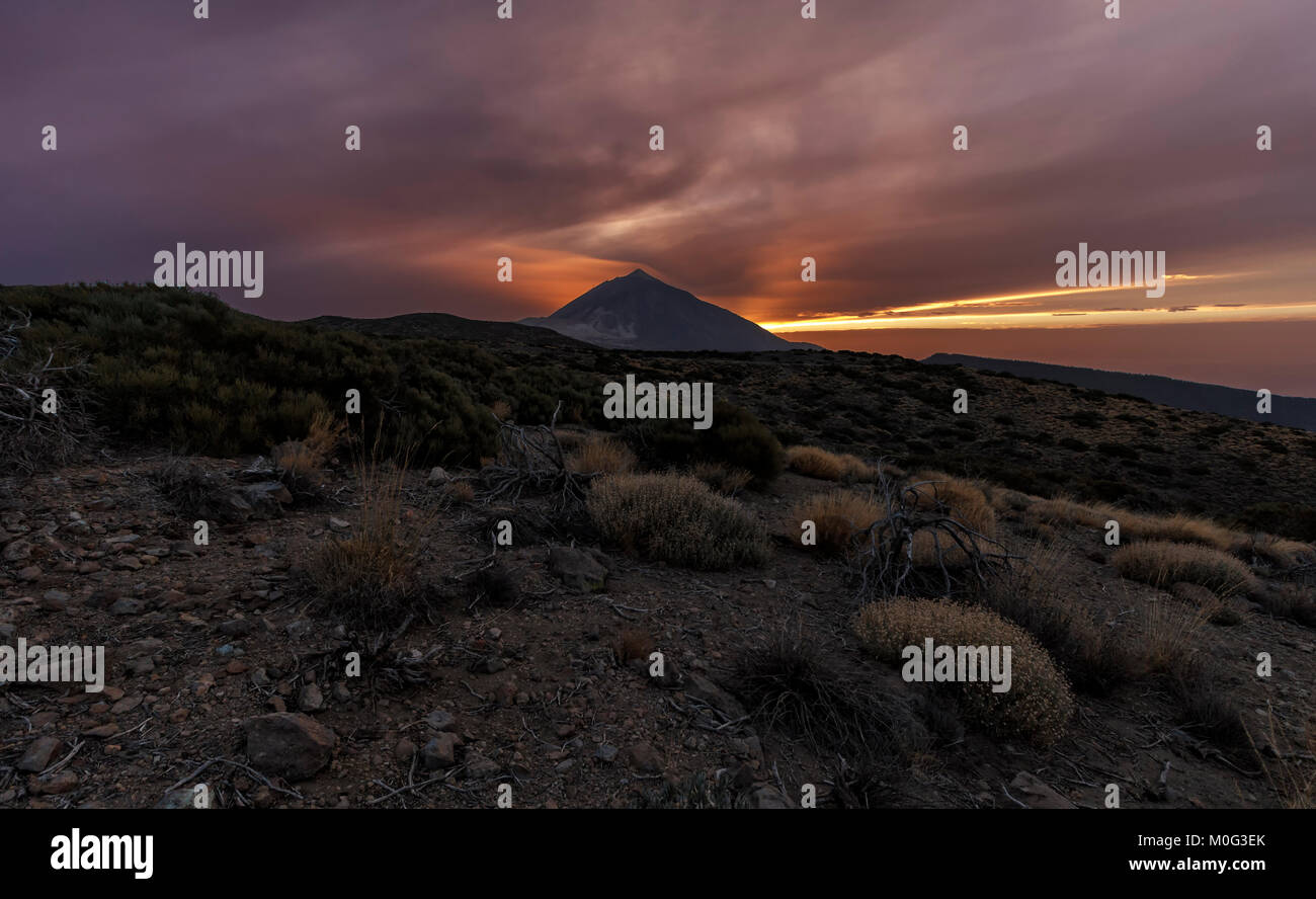 landscape at sunset in teide Stock Photo - Alamy