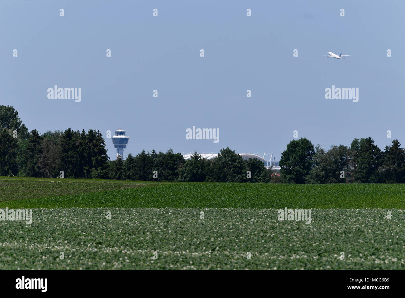 landing, start, take of, nature, field, air, tree, green, terminal ...