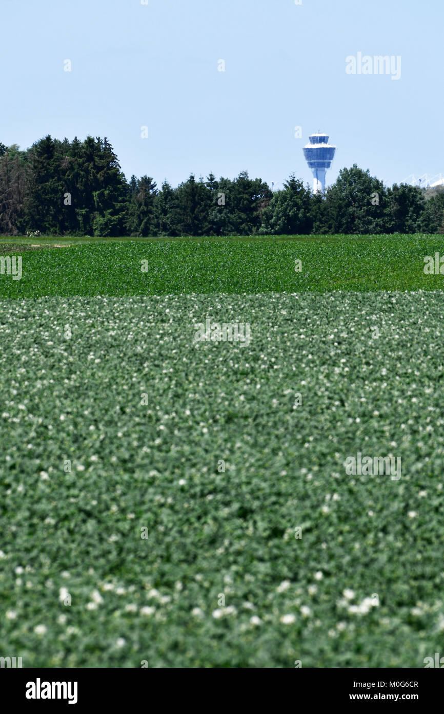 landing, start, take of, nature, field, air, tree, green, terminal ...