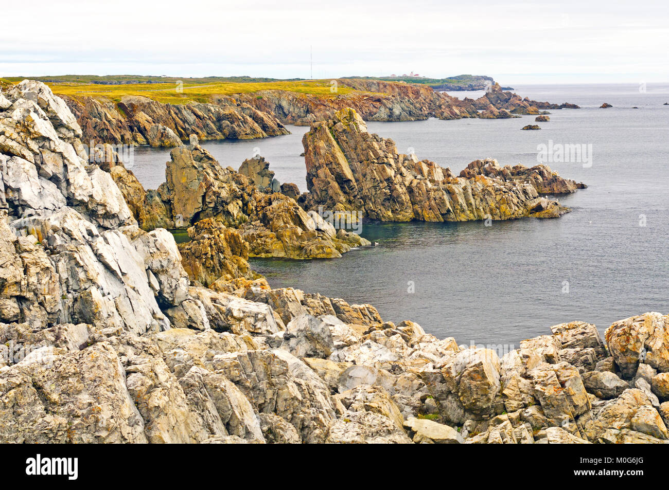 Newfoundland rocks hi-res stock photography and images - Alamy