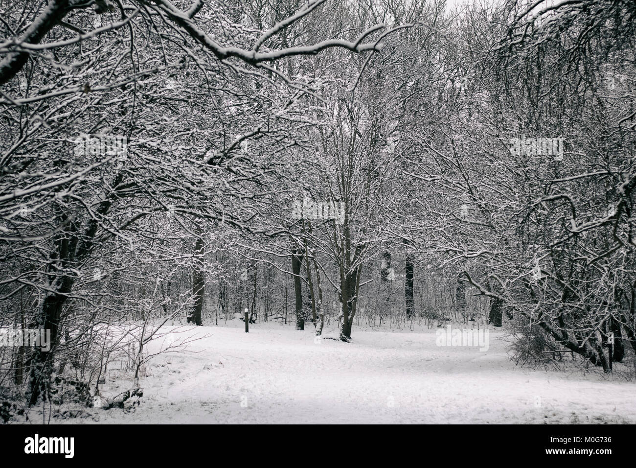 Split paths hi-res stock photography and images - Alamy