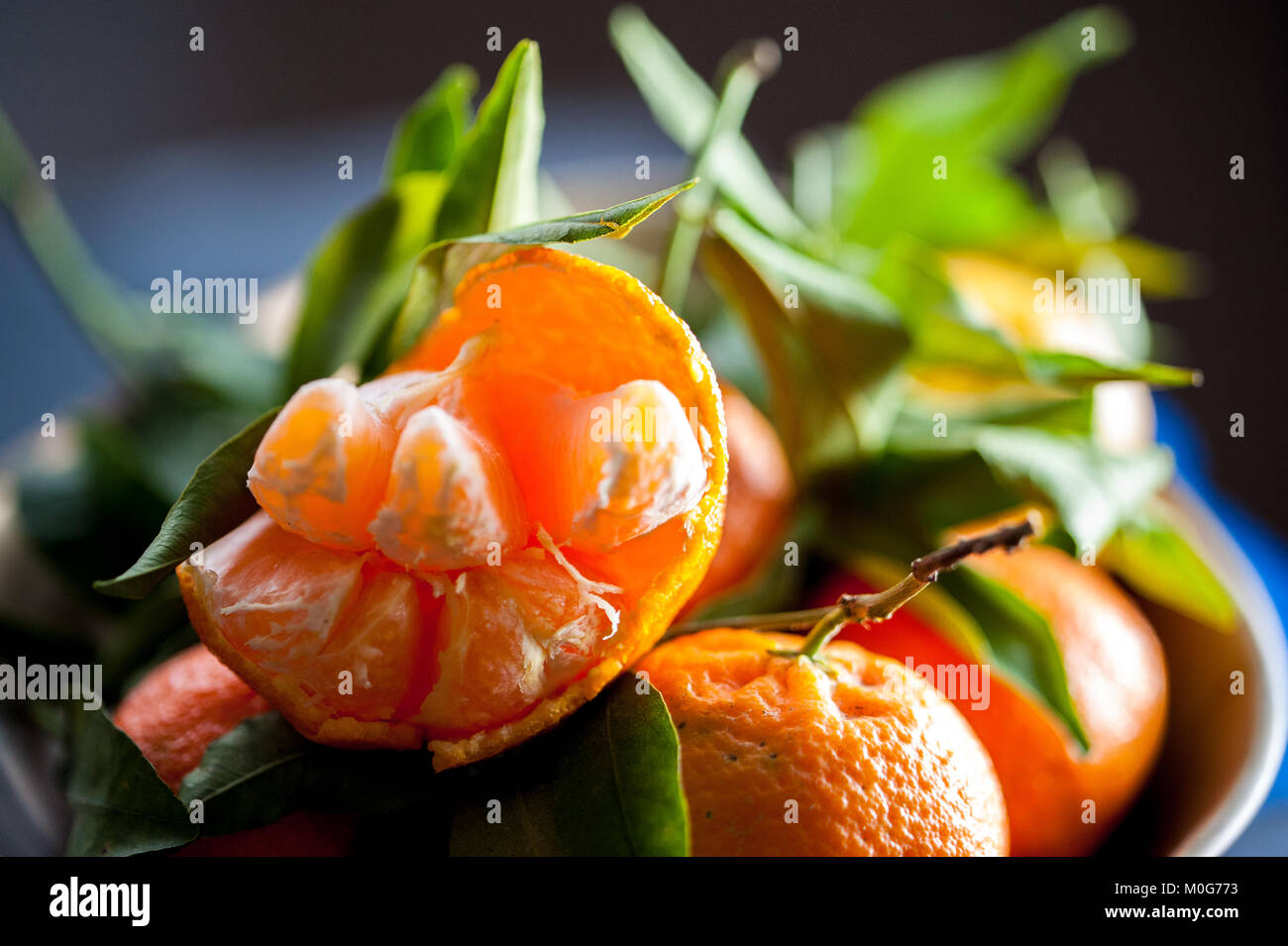 A close-up of a fresh juicy clementines with green leaves in a scale ...