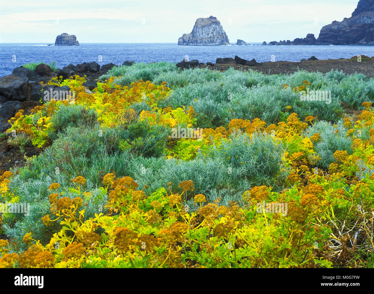 El hierro roques de salmor hi-res stock photography and images - Alamy