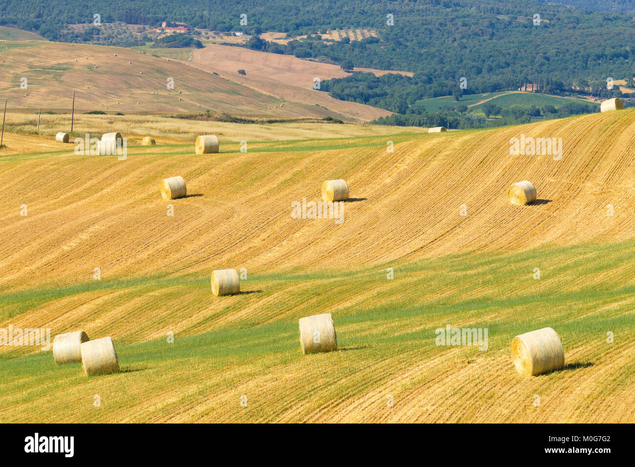 Tuscany hills landscape, Italy. Rural italian panorama Stock Photo - Alamy