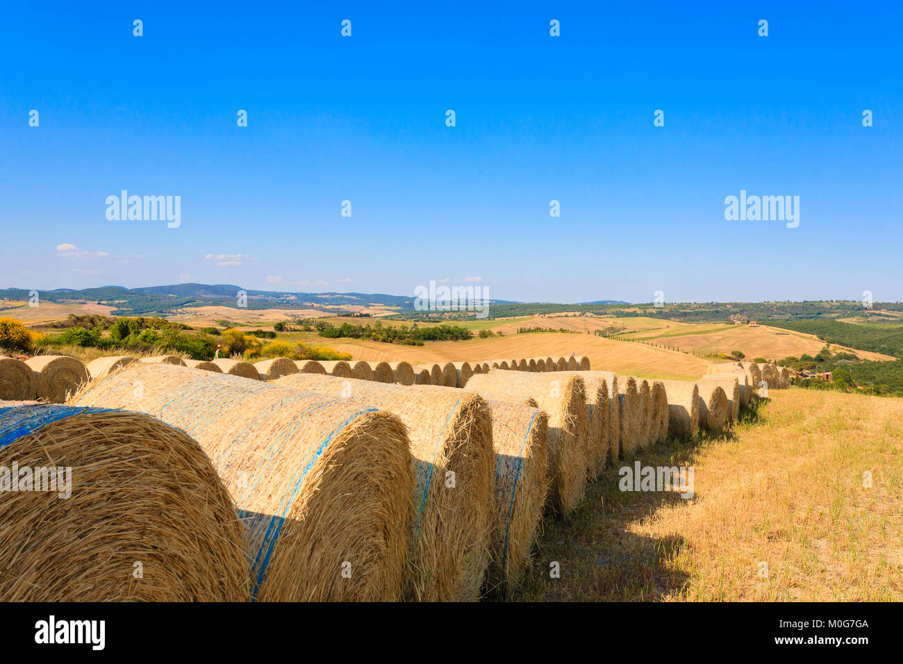 Tuscany hills landscape, Italy. Rural italian panorama Stock Photo - Alamy