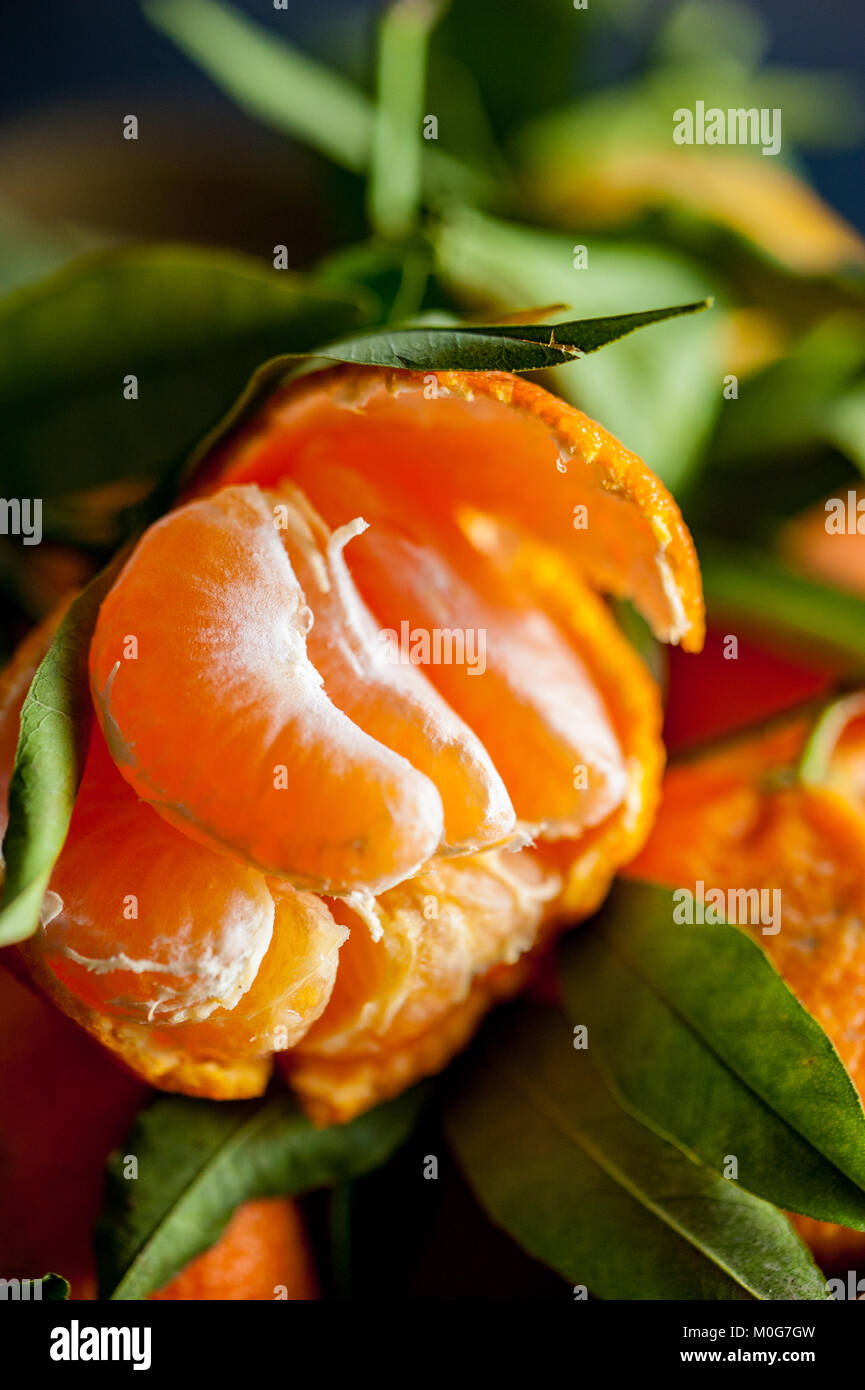 A close-up of a fresh peeled juicy clementine with green leaves on a ...