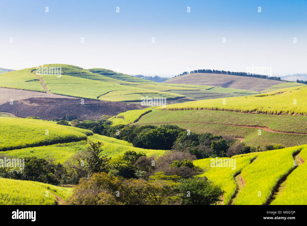 Valley of a Thousand hills landscape. Green hills panorama. South ...