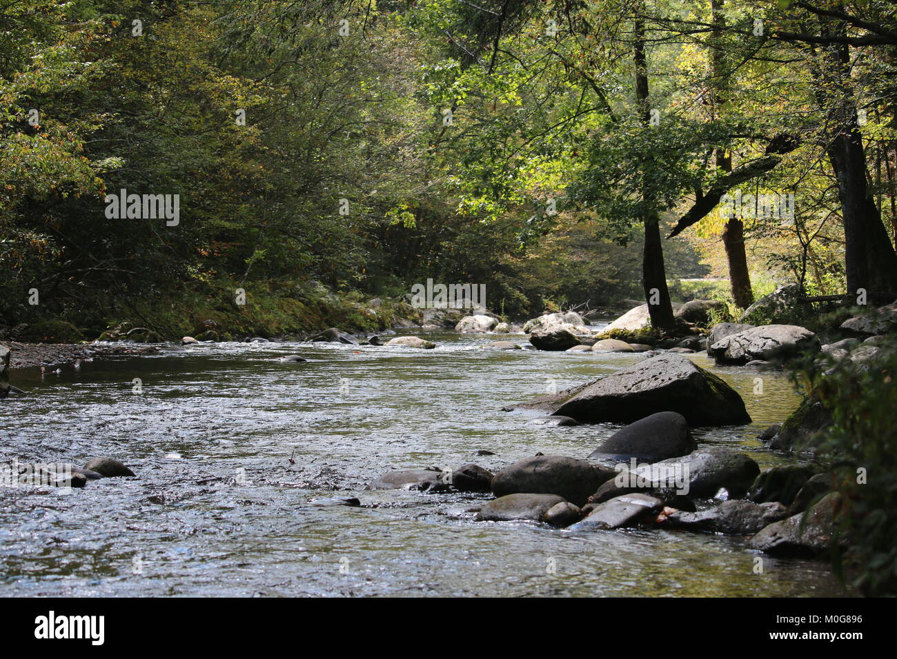 Smoky National Park River Stock Photo - Alamy