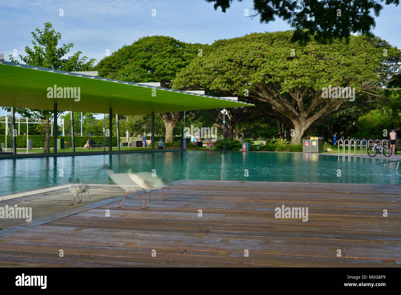 Riverway pool, Townsville, Queensland, Australia Stock Photo - Alamy