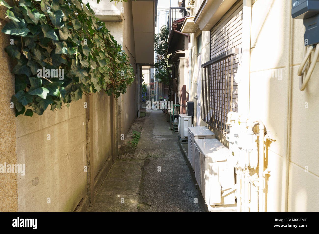 Hongo tokyo hi-res stock photography and images - Alamy