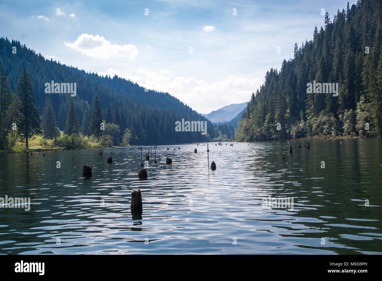 The Red Lake - Lacul Rosu. The largest barrier lake situated in the ...