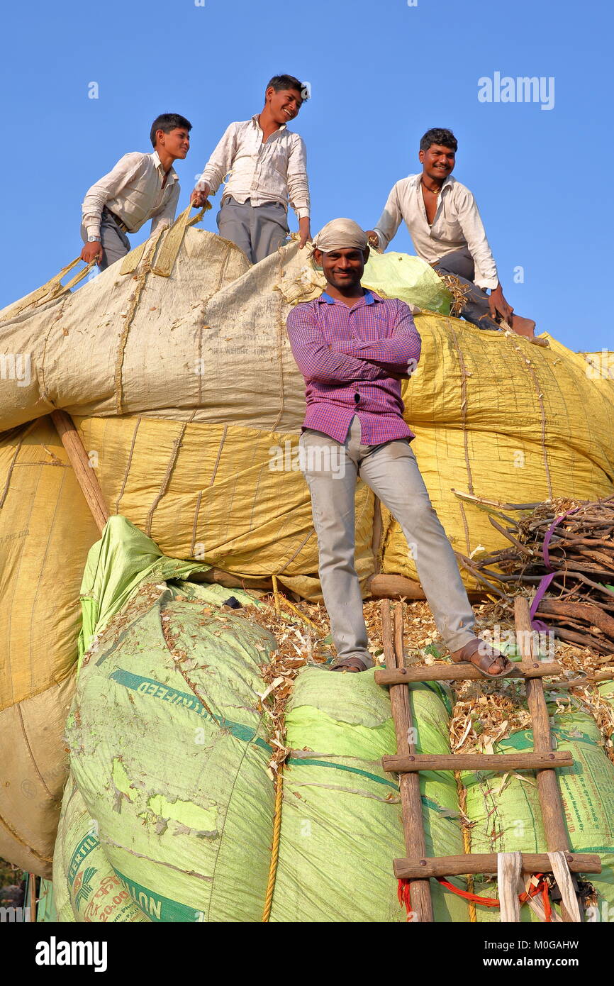 Corn stover hi-res stock photography and images - Alamy