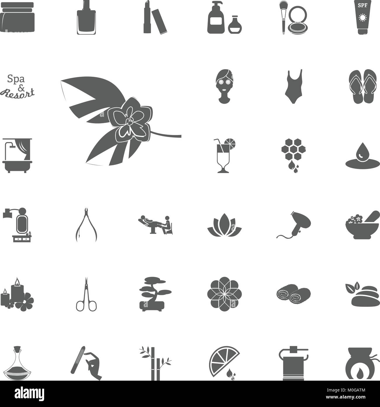Therapy flowers icon. Spa and Recreation vector set icons. Set of 33 ...