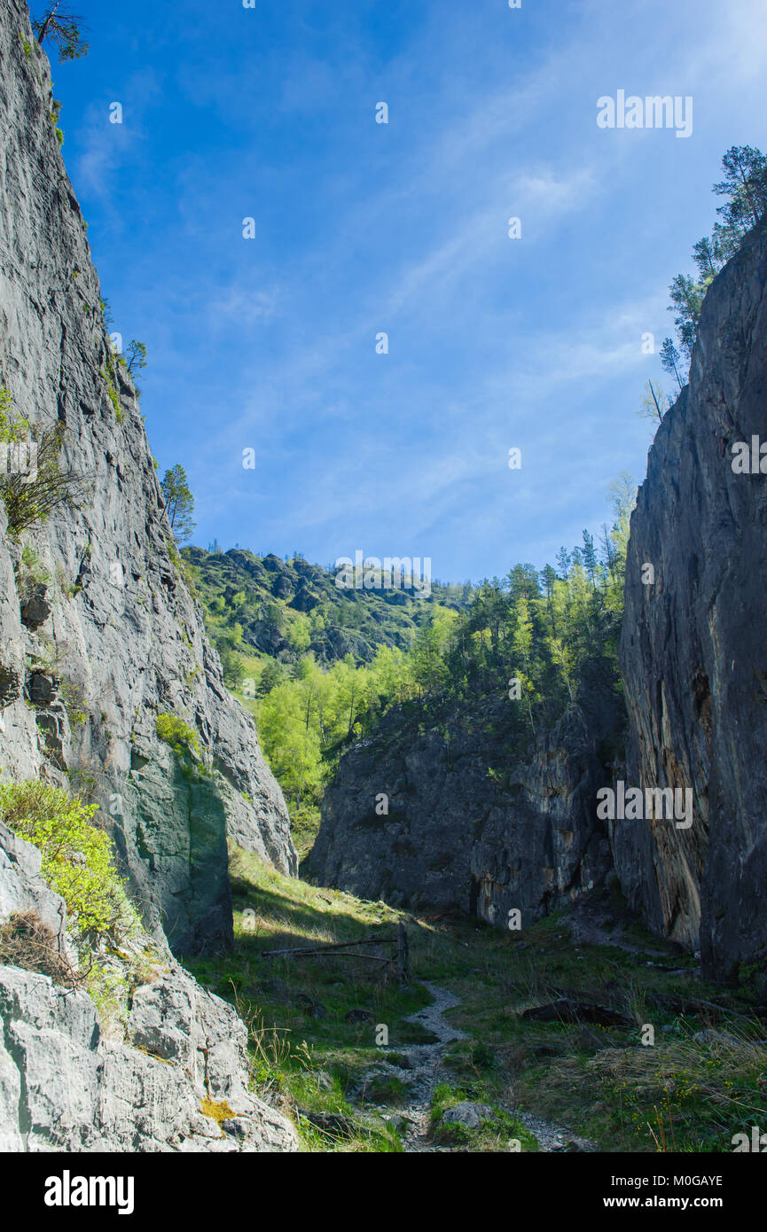 Wide ravine with narrow pathway in Altai mountains Stock Photo - Alamy