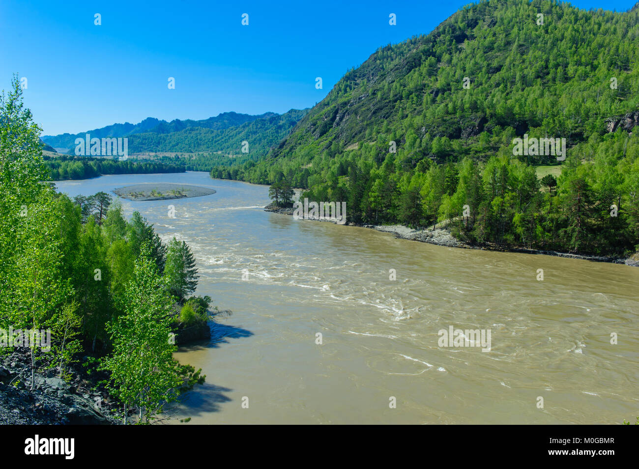 A mountain river streaming between forest banks in summer Stock Photo ...
