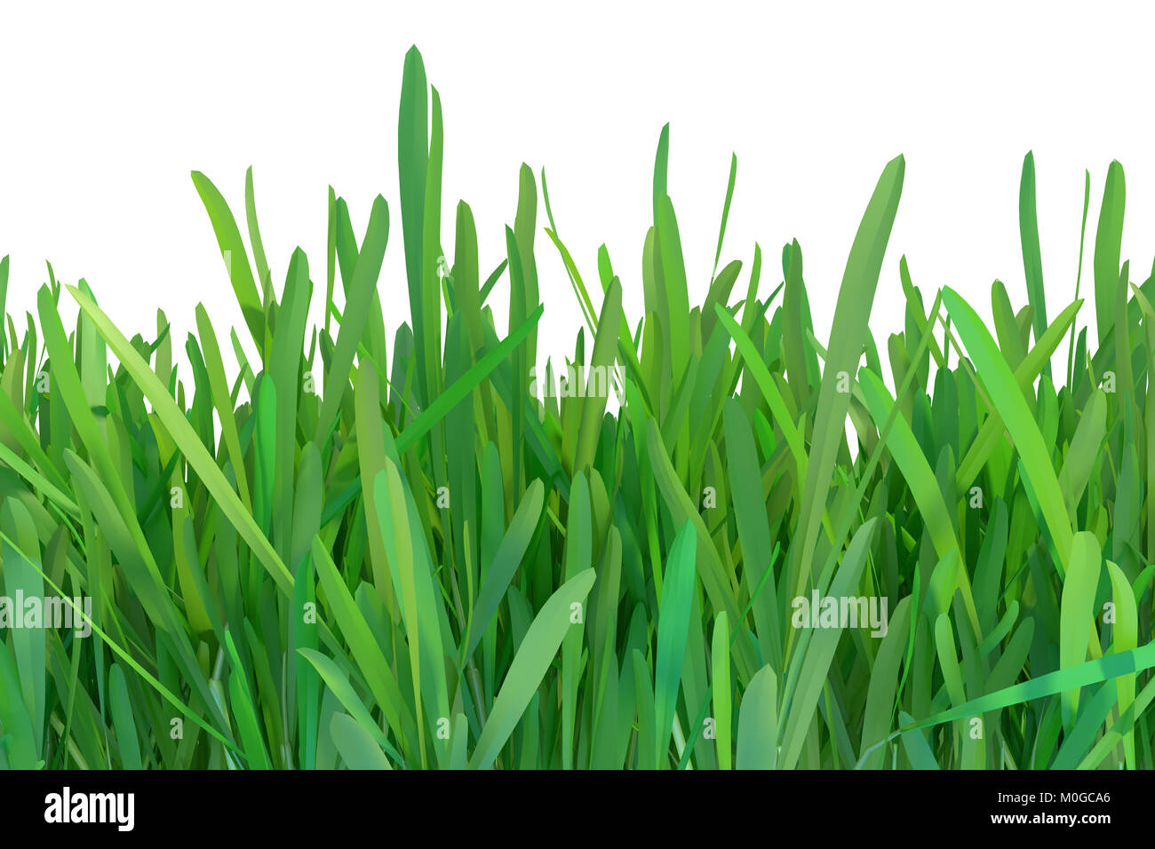 Green grass. Natural grass texture pattern background. Meadow. Spring ...