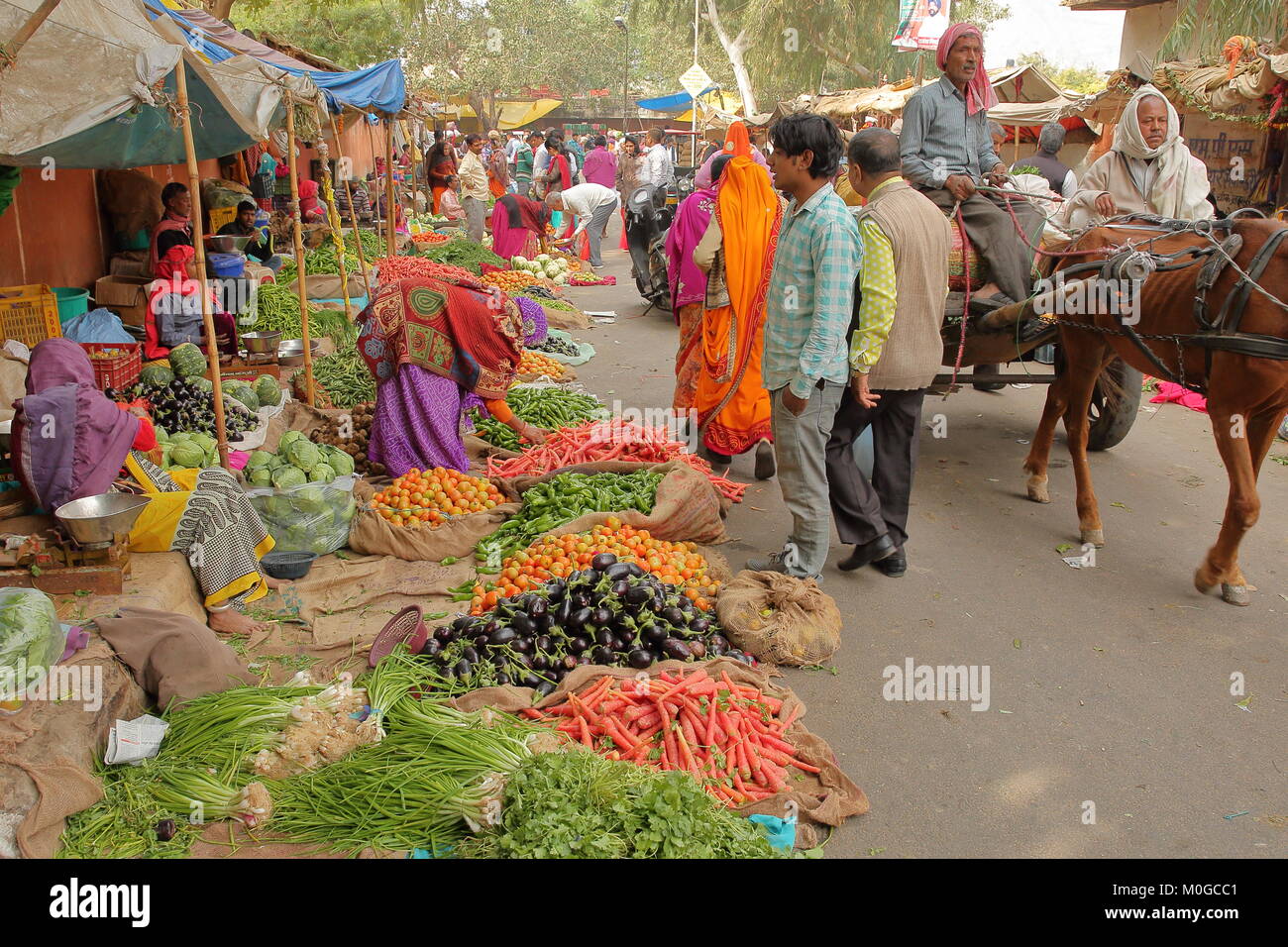 JAIPUR, RAJASTHAN, INDIA - DECEMBER 06, 2017: The colorful vegetable ...