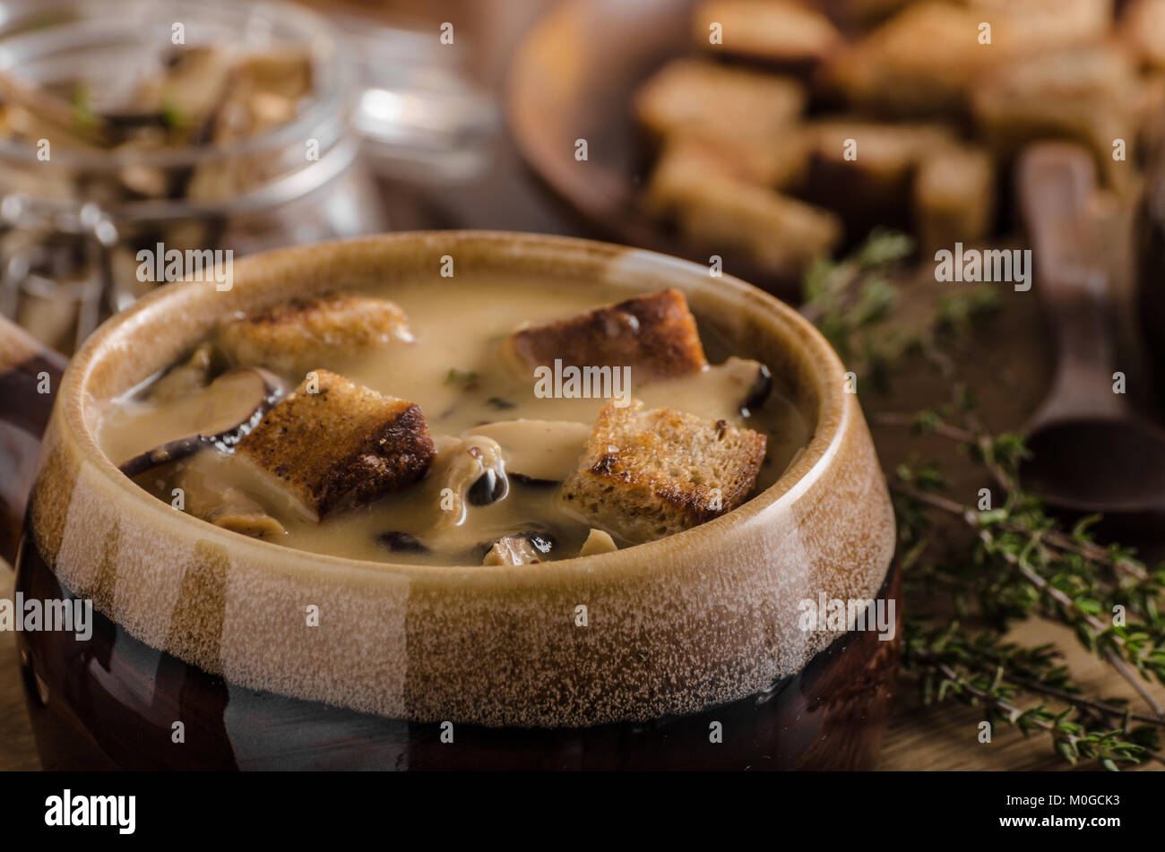 Rustic mushrooms soup, czech forest mushrooms, fresh collect in woods ...