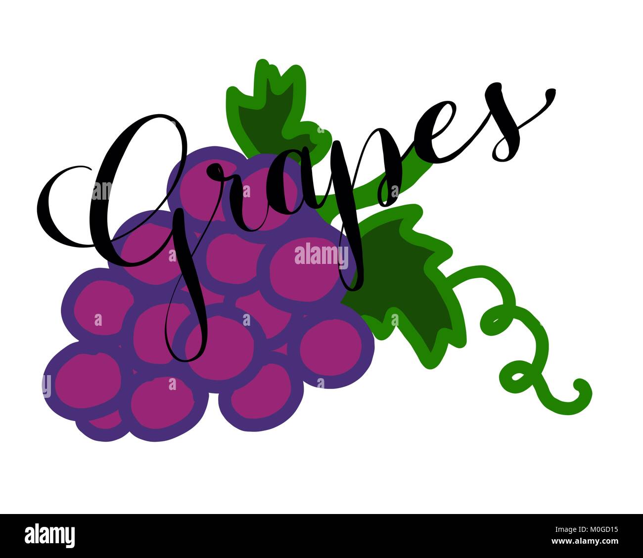 fruit illustration for menu and card Stock Photo - Alamy