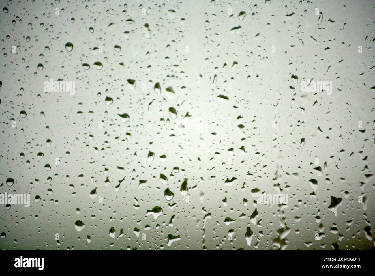 Rain drops on window pane full frame texture Stock Photo - Alamy