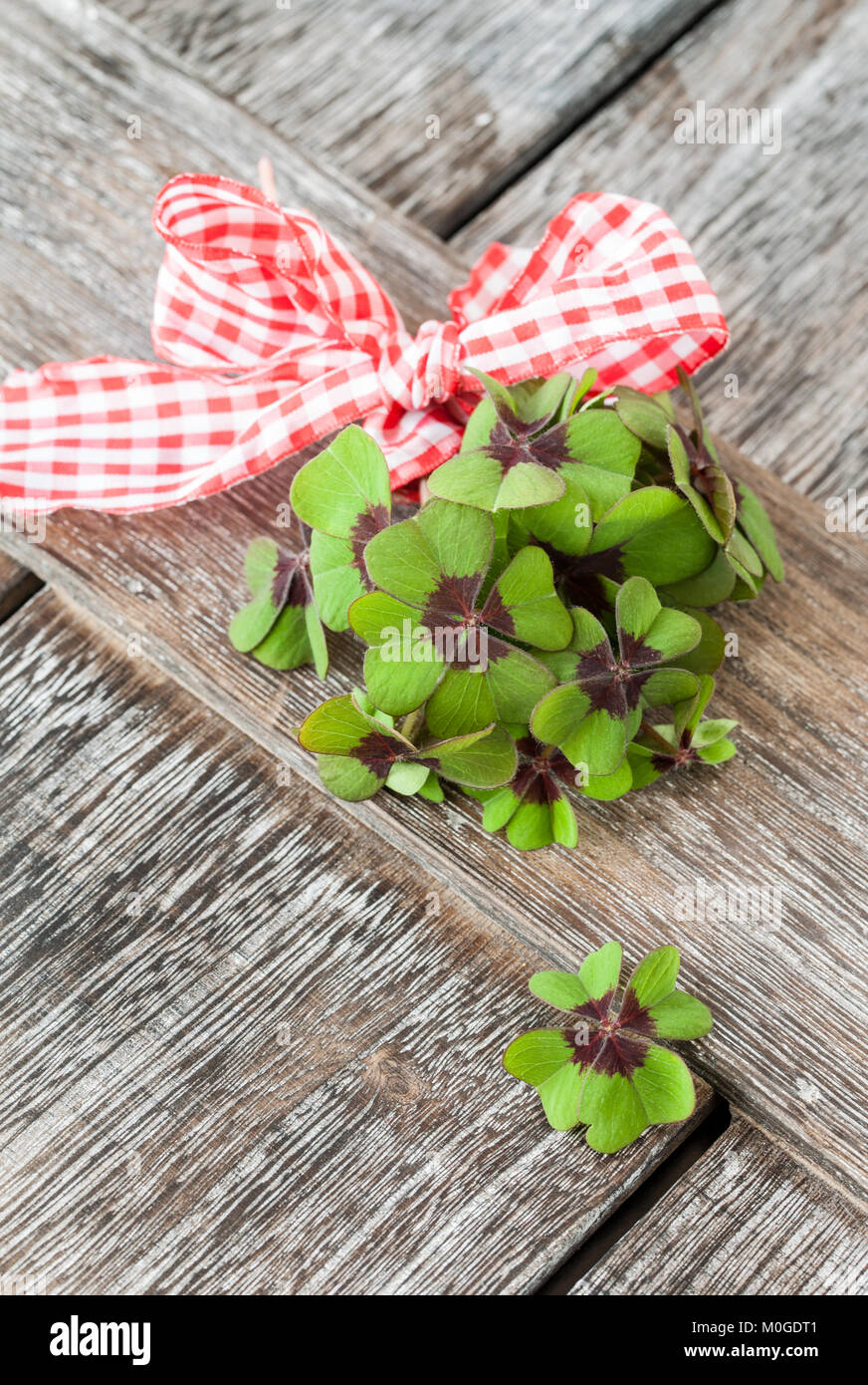 Little bunch of four leaved clovers with big red ribbon Stock Photo - Alamy